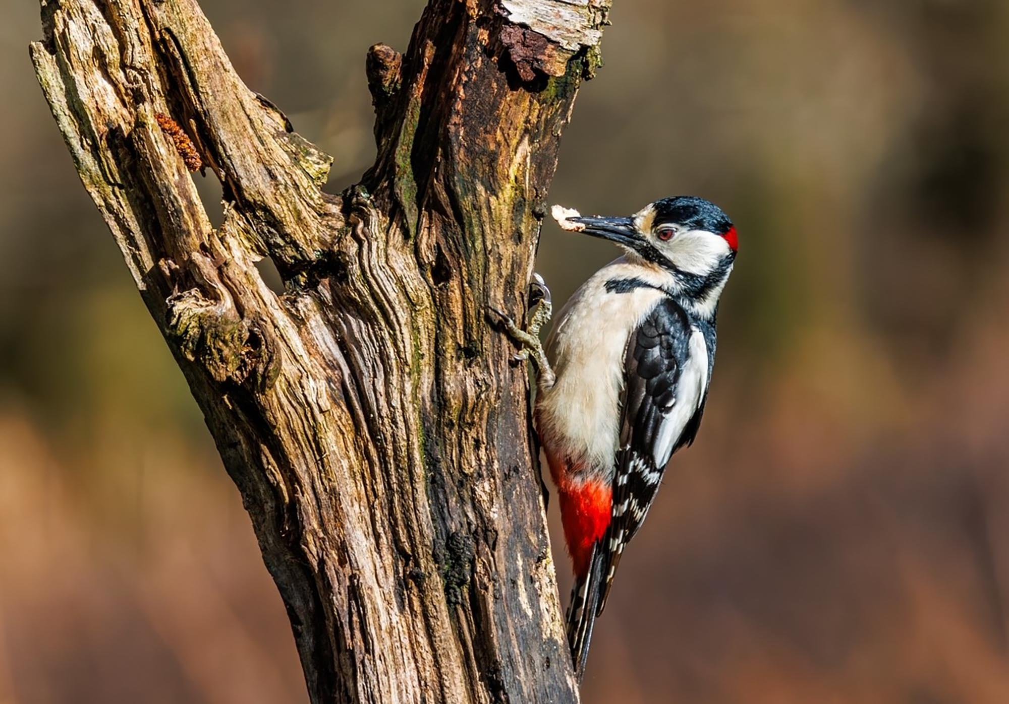 Member Profile: Paul Rathbone — The School of Photography - Courses ...