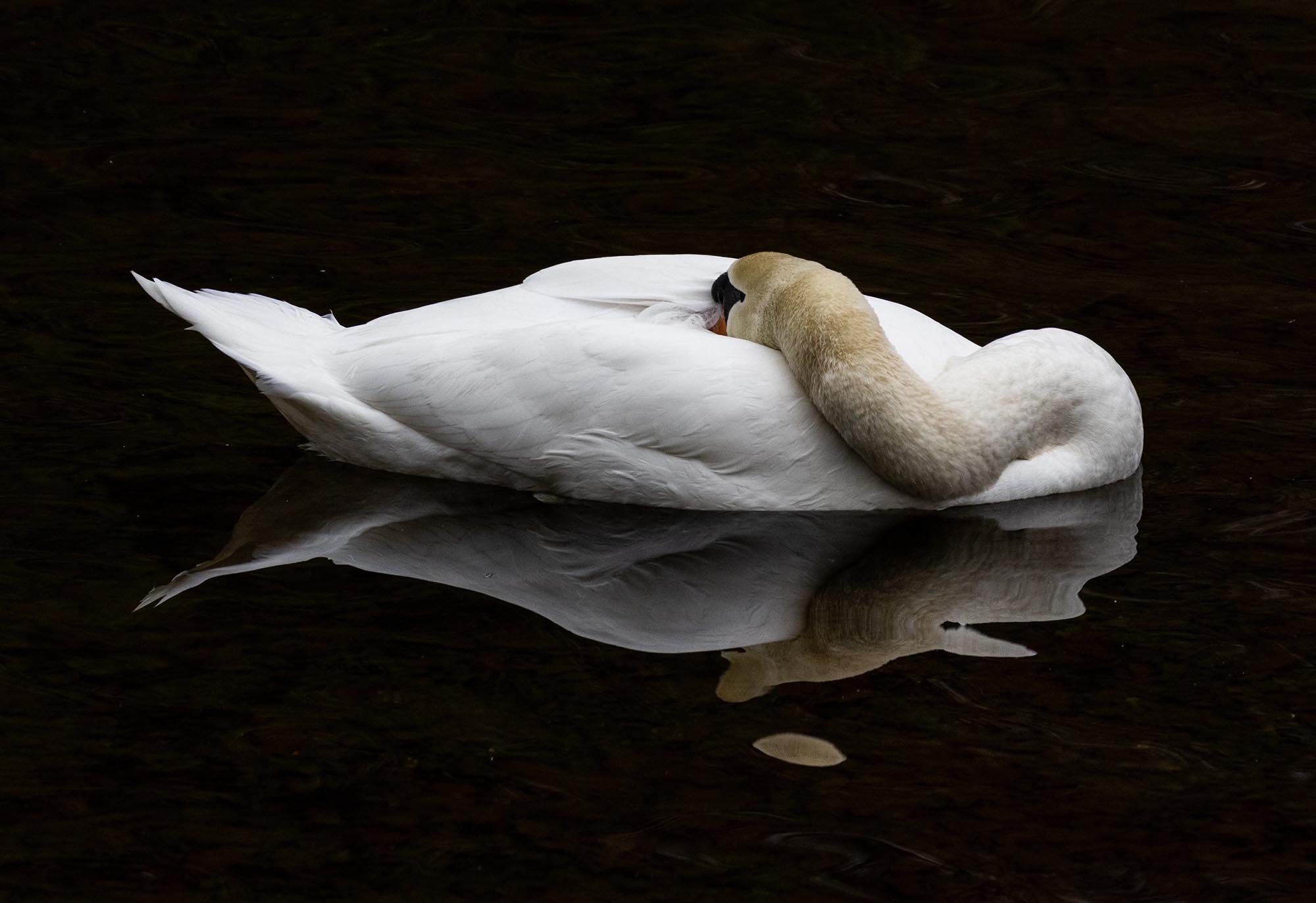 Member Profile: Paul Rathbone — The School of Photography - Courses ...