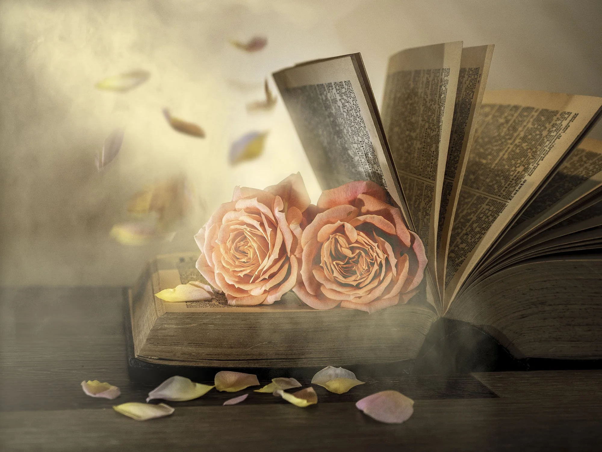 Member Profile: Mark Fullbrook — The School of Photography - Courses ...