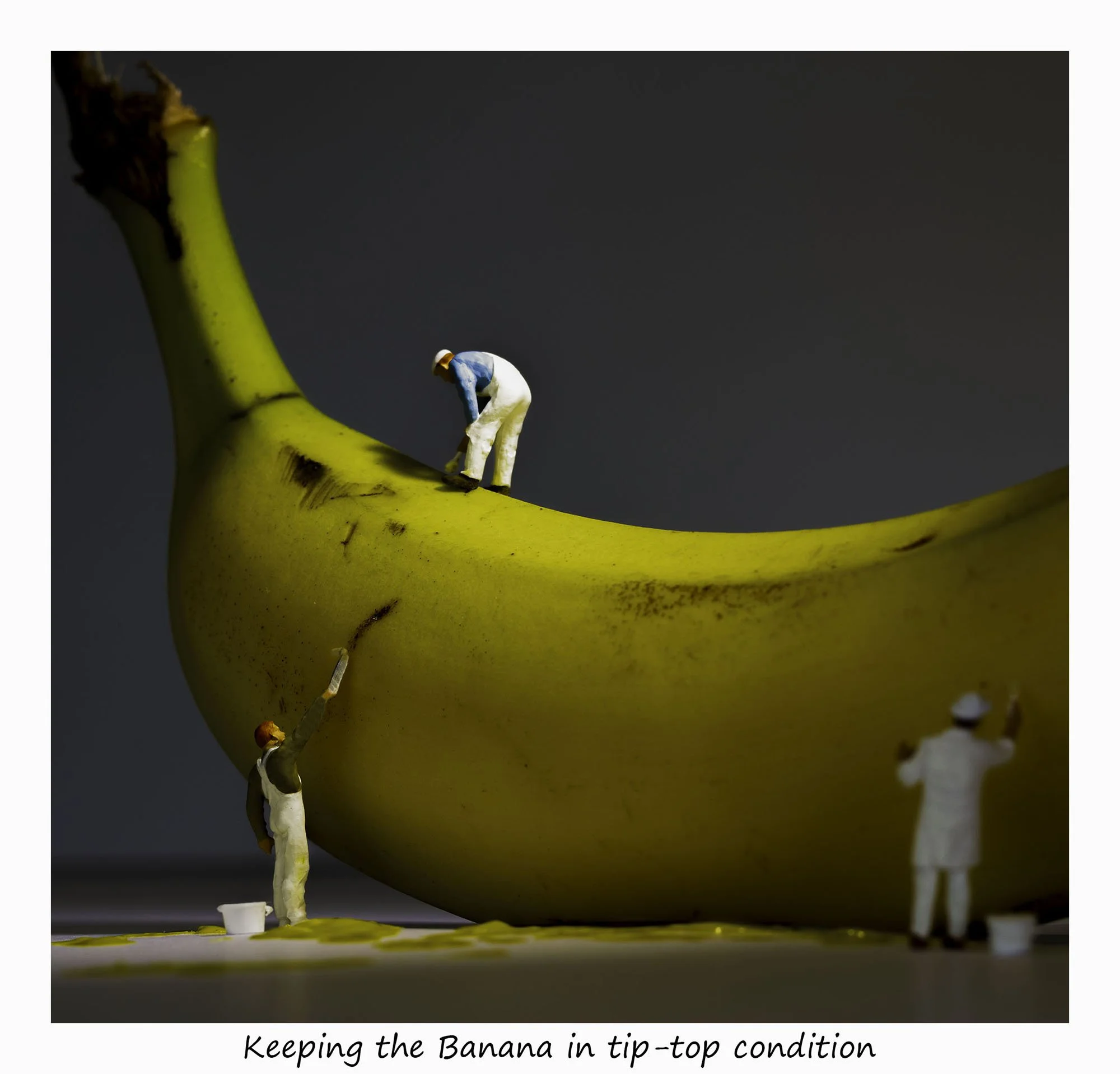 Member Profile: Gill Mole — The School of Photography - Courses ...