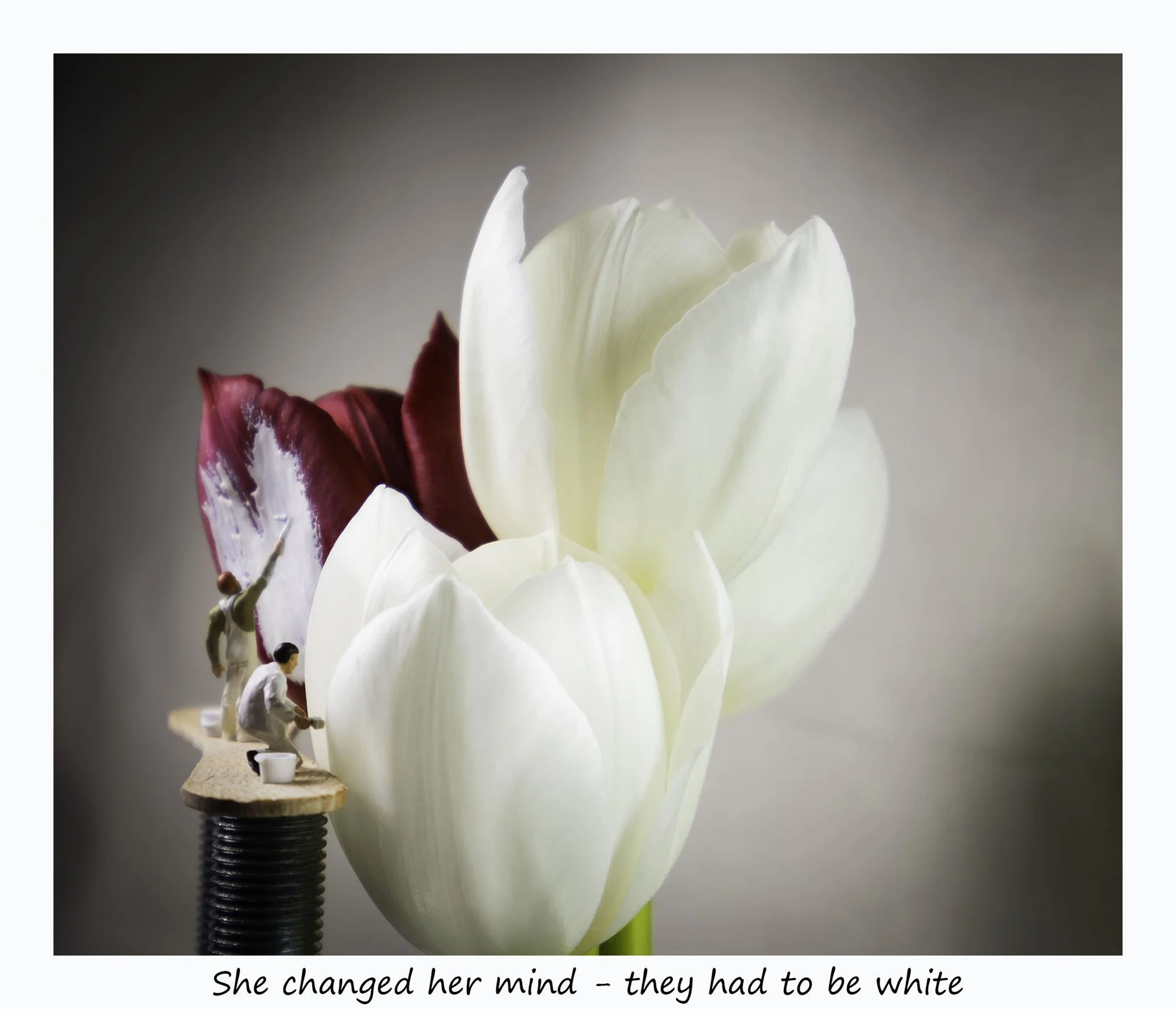 Member Profile: Gill Mole — The School of Photography - Courses ...