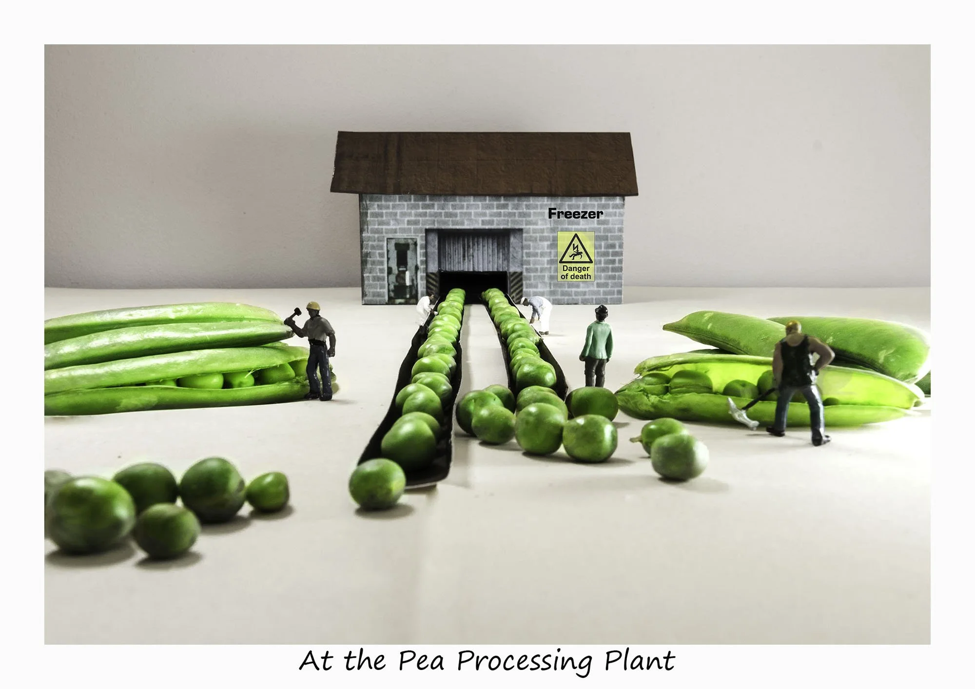 Member Profile: Gill Mole — The School of Photography - Courses ...