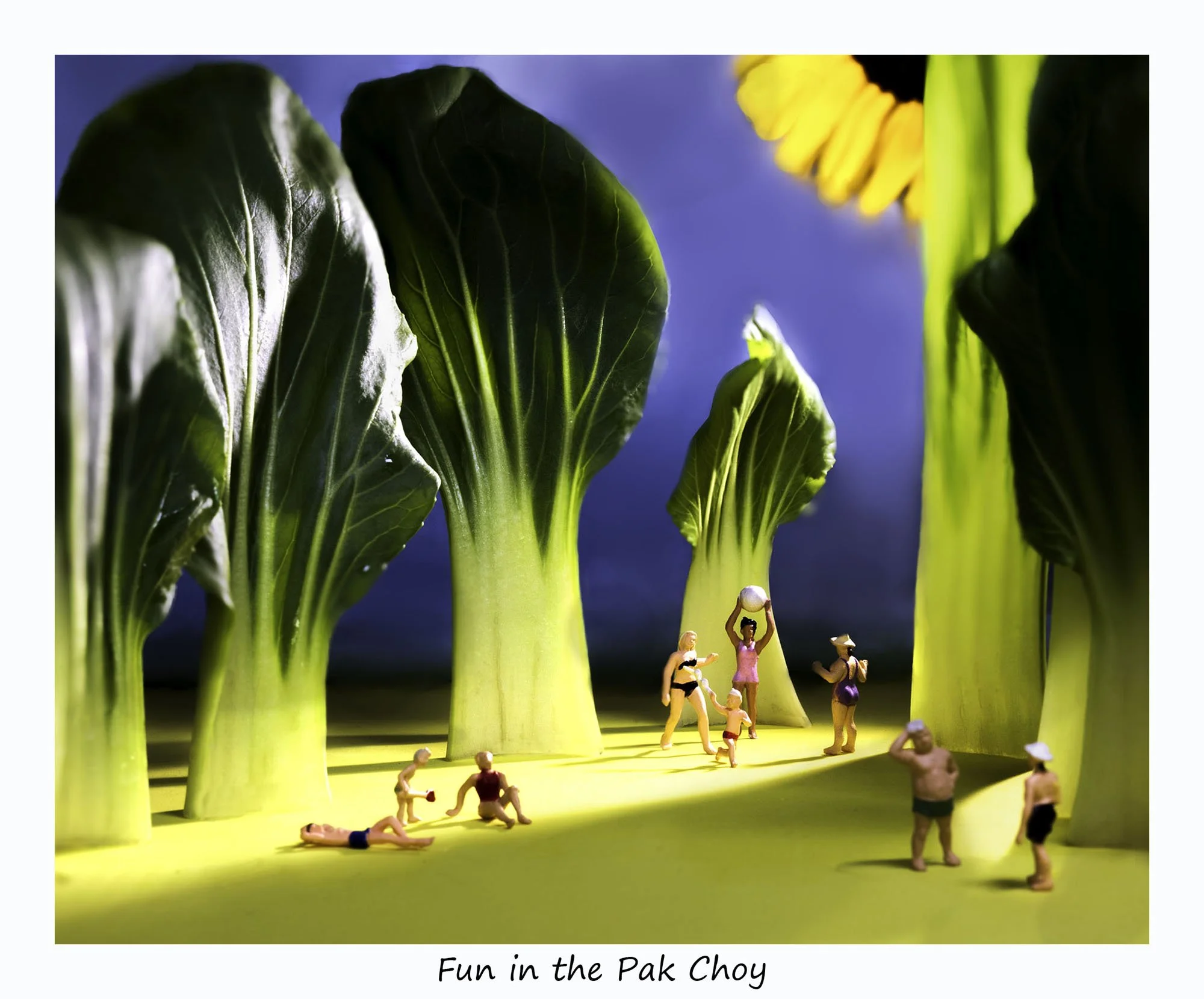 Member Profile: Gill Mole — The School of Photography - Courses ...