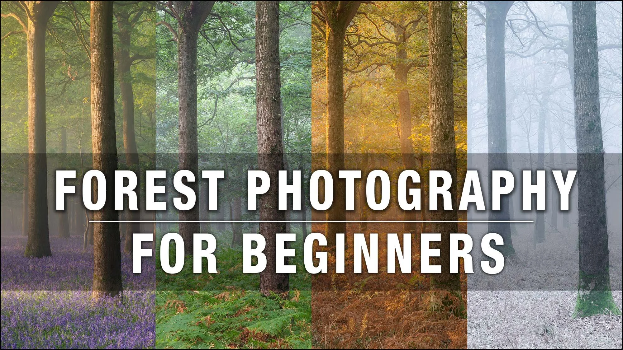 Free Photography Tutorials and Pro Tips & Techniques — The School of ...