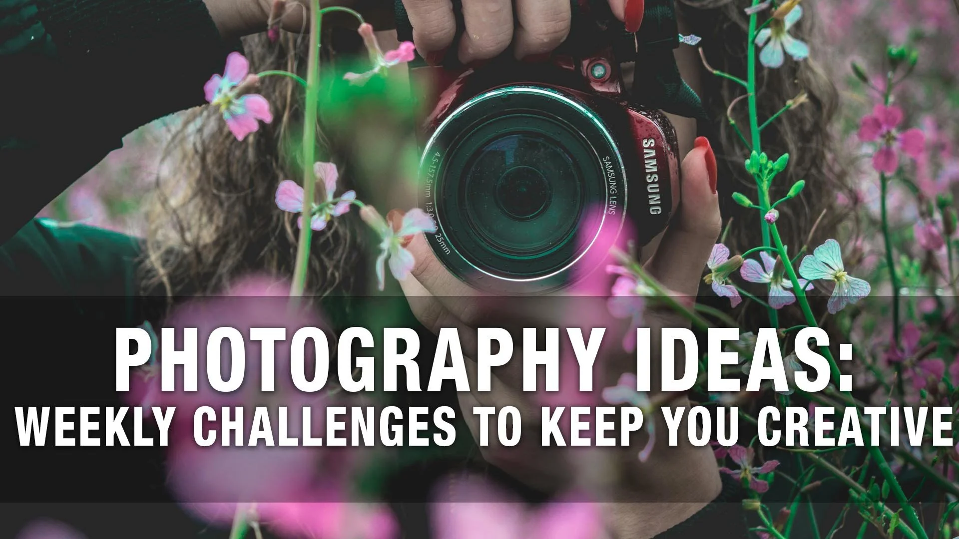 Free Photography Tutorials and Pro Tips & Techniques — The School of ...