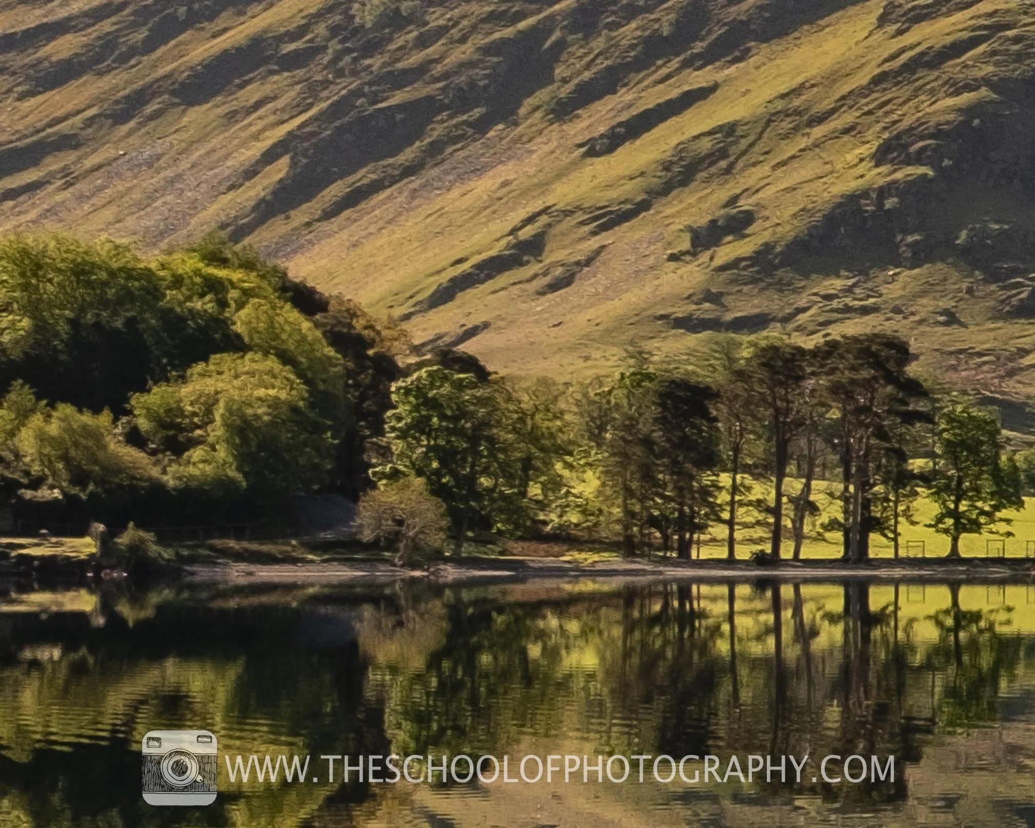 Full Frame vs APS-C – Image Quality is Key! — The School of Photography ...