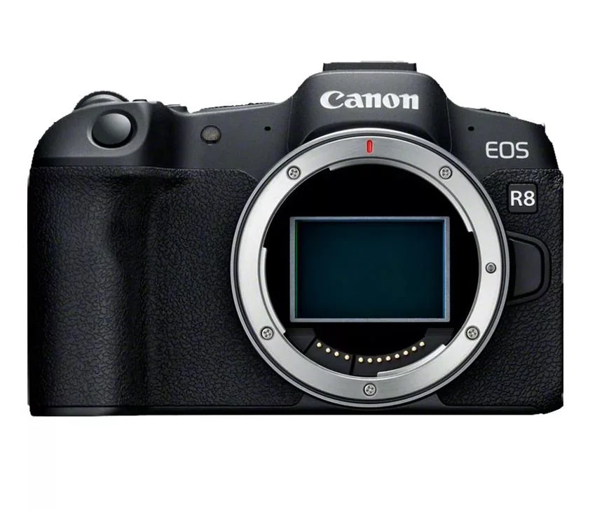 Best Canon Mirrorless Camera - Which one for you? — The School of ...