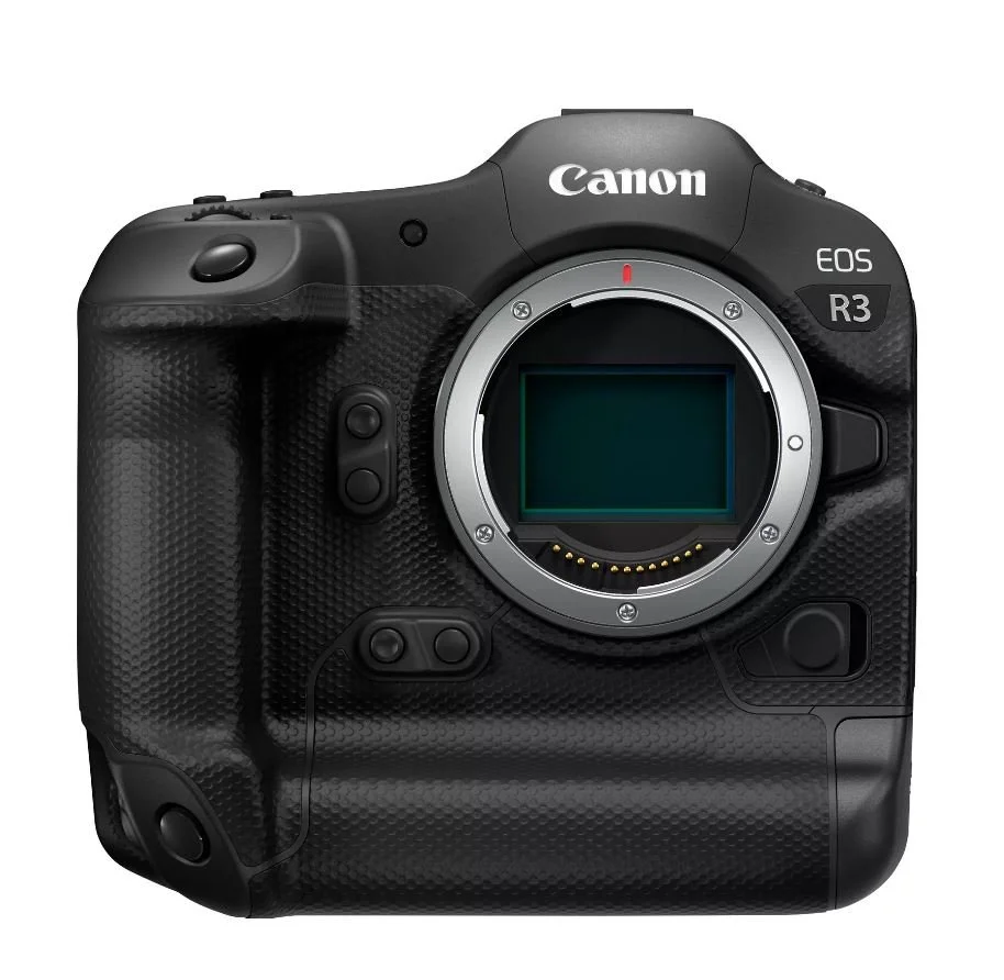 Best Canon Mirrorless Camera - Which one for you? — The School of ...