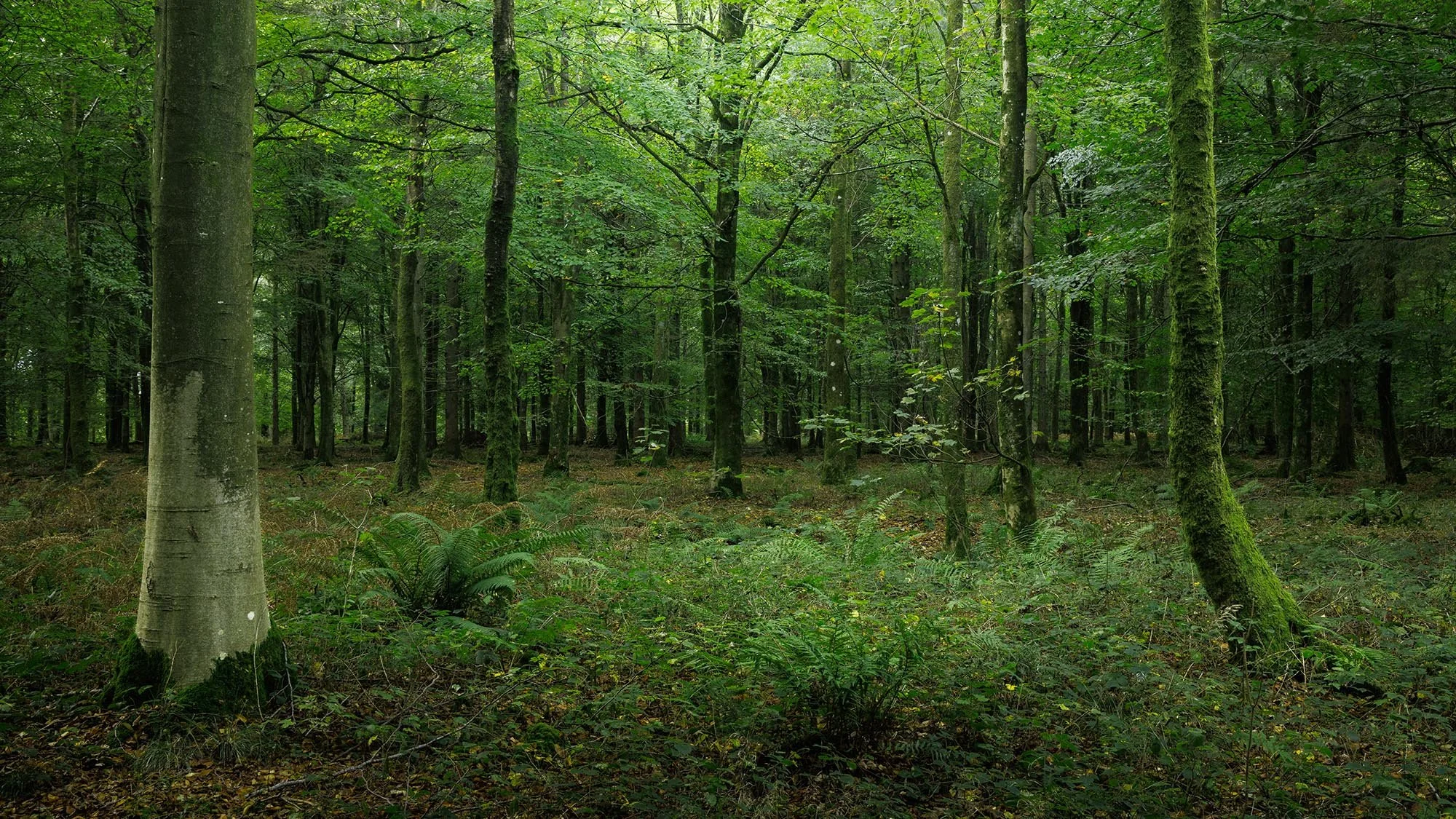 5 Ideas To Level Up Your Photography Skills — The School of Photography ...