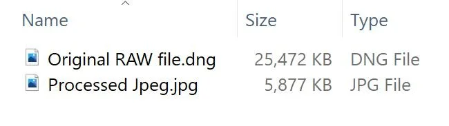 DNG vs RAW – What, Why, and should you convert? — The School of ...