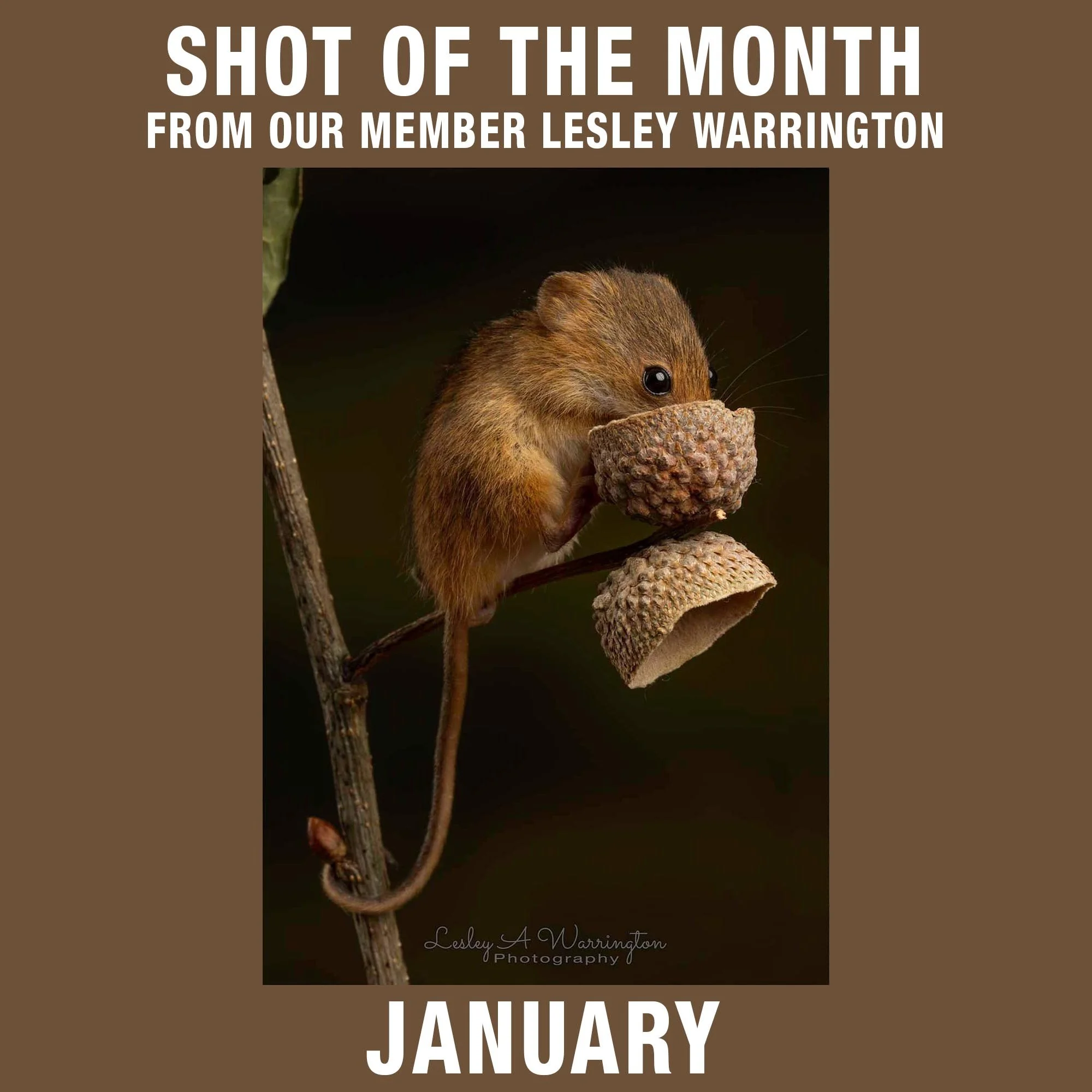 Member's Gallery — The School of Photography - Courses, Tutorials & Books