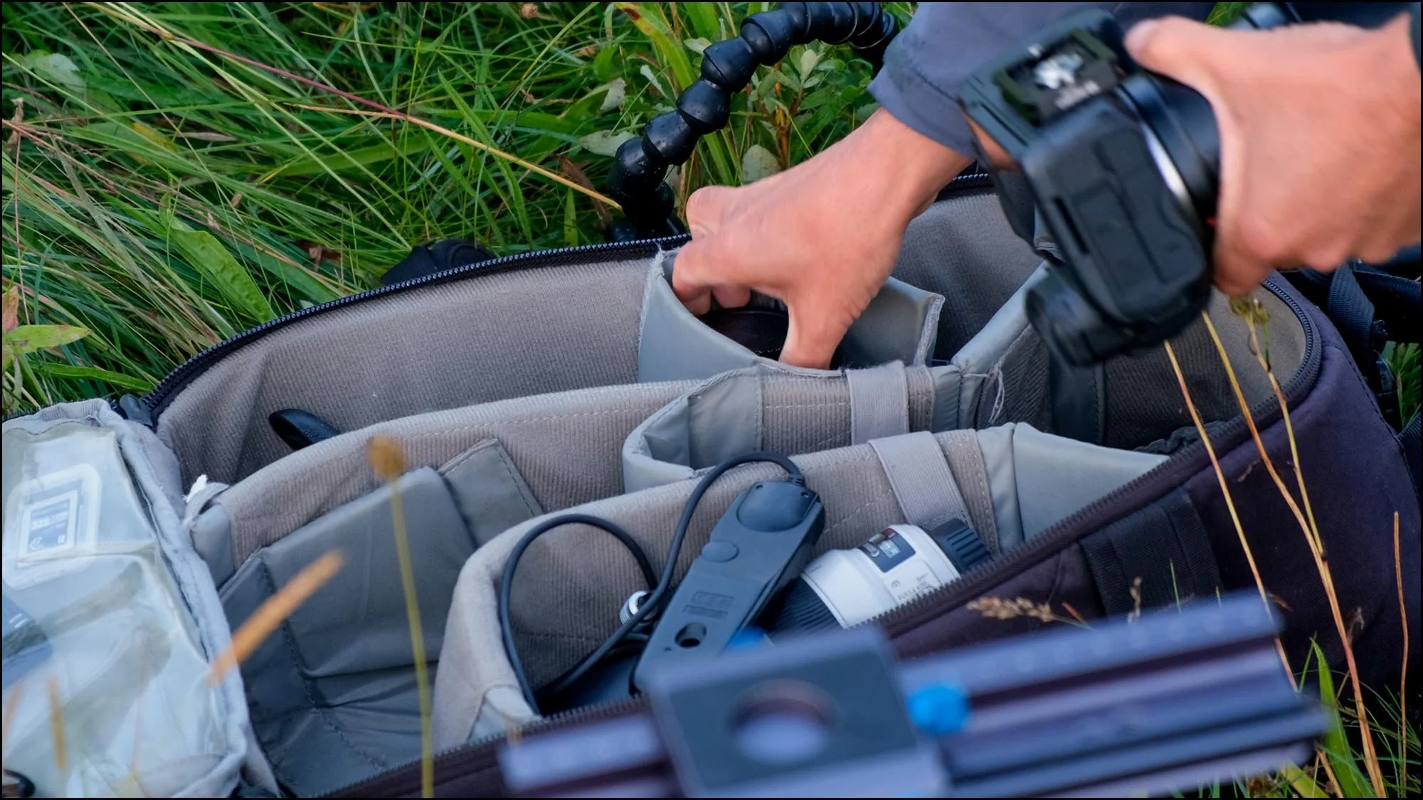 Macro Photography Course — The School of Photography - Courses ...