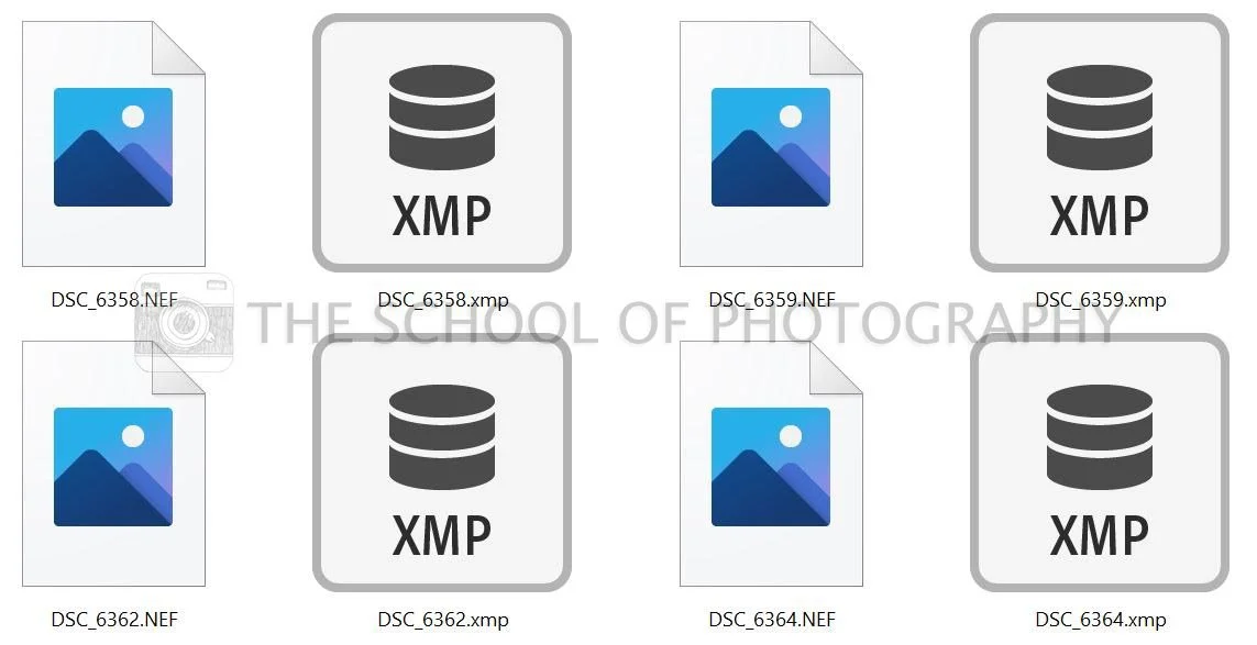 DNG vs RAW – What, Why, and should you convert? — The School of Photography - Courses, Tutorials ...