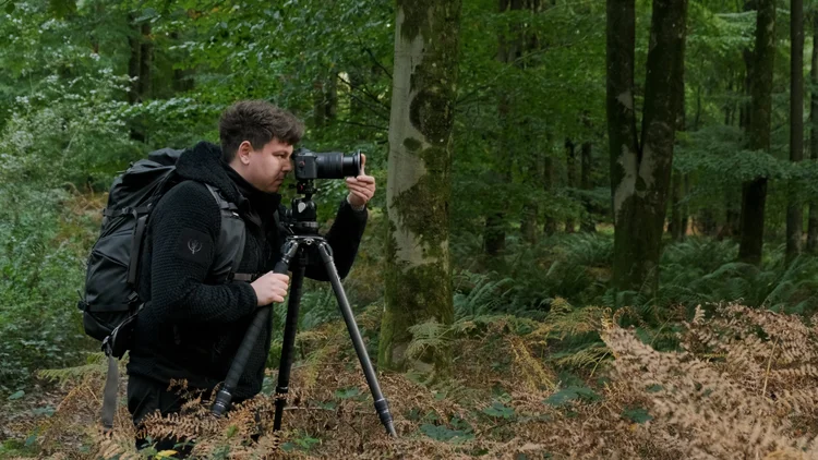 Forest Photography For Beginners — The School of Photography - Courses ...
