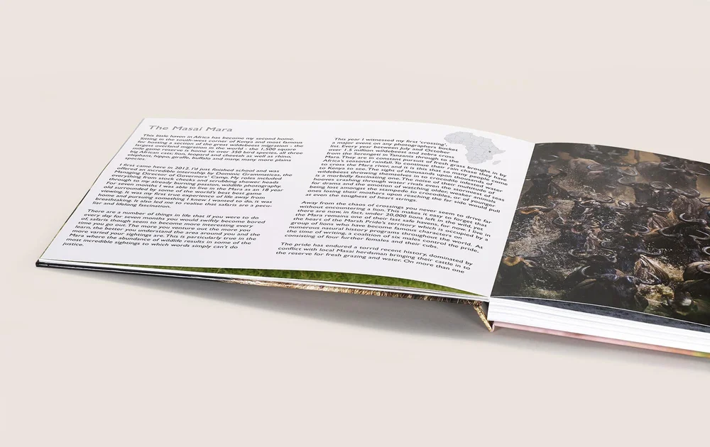 10 Tips for Designing a Professional Photography Portfolio — The School ...