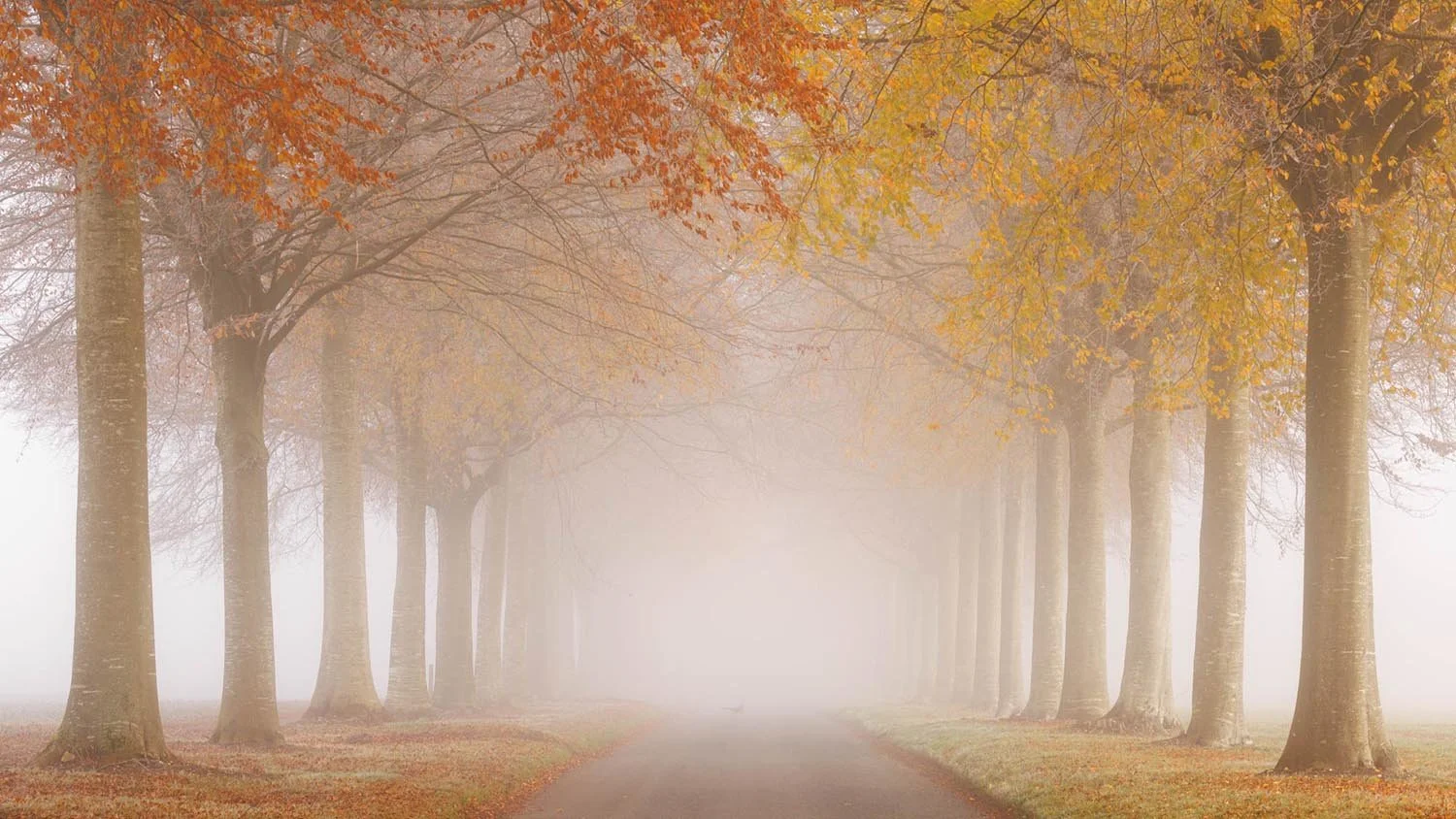 10 Best Autumn Photography Ideas: Capture the Beauty of Fall — The ...