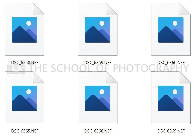 DNG vs RAW – What, Why, and should you convert? — The School of ...