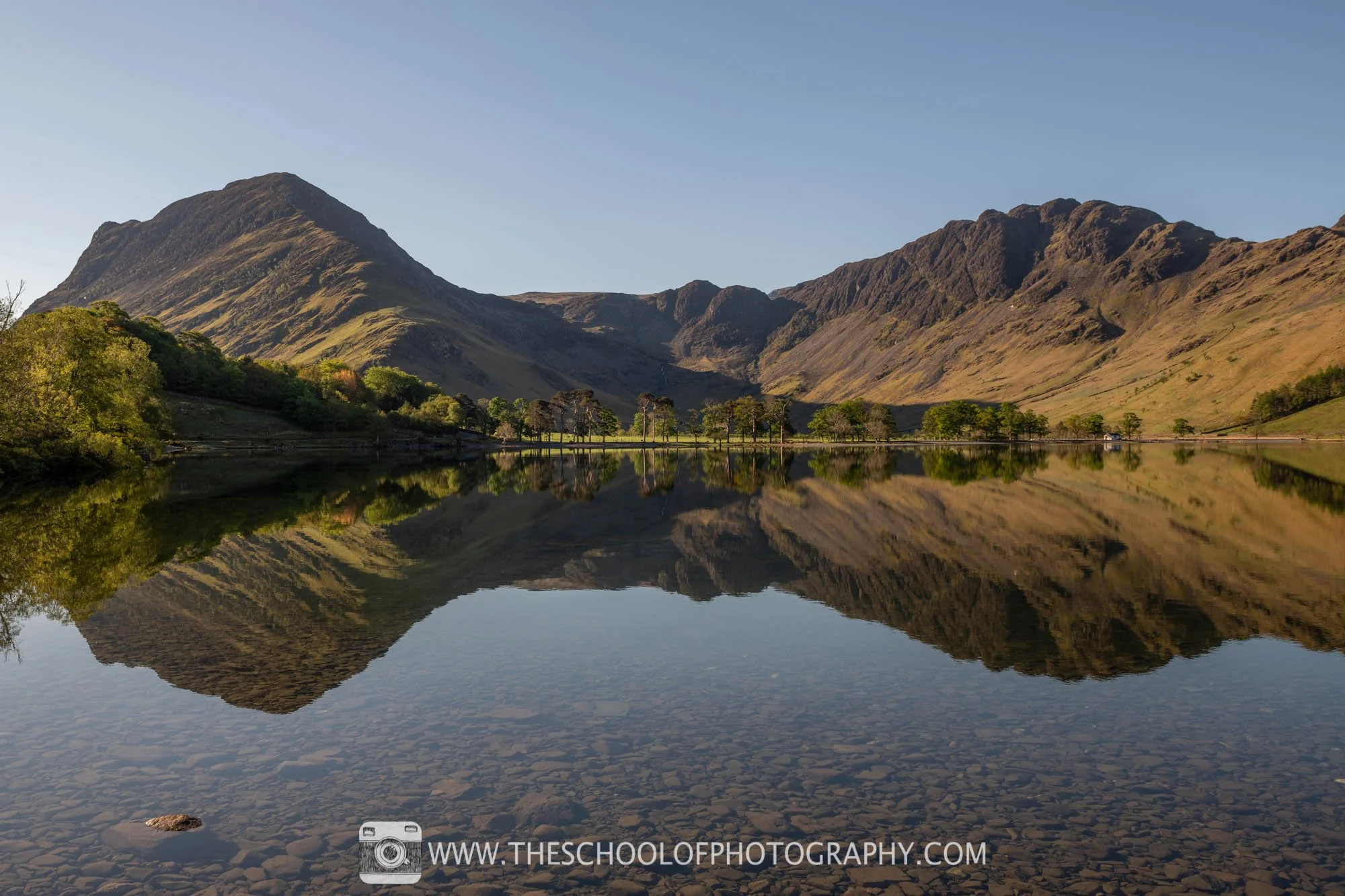 Full Frame vs APS-C – Image Quality is Key! — The School of Photography ...