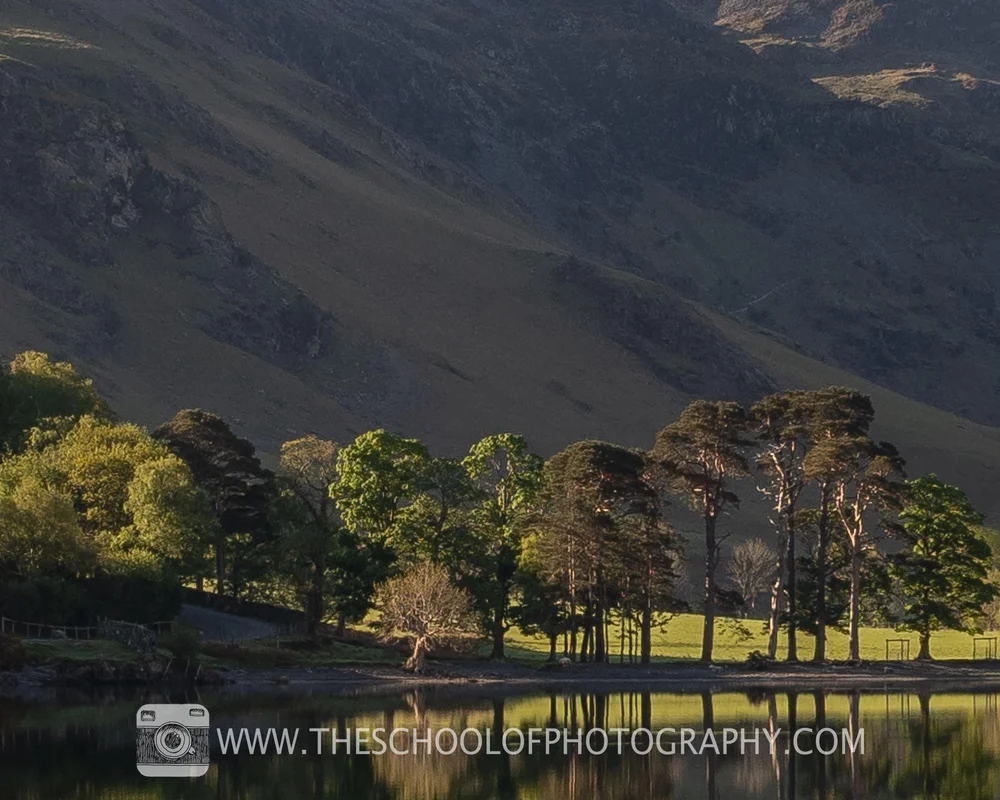 Full Frame vs APS-C – Image Quality is Key! — The School of Photography ...