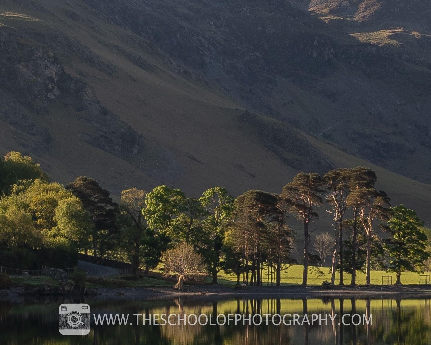 Full Frame vs APS-C – Image Quality is Key! — The School of Photography ...