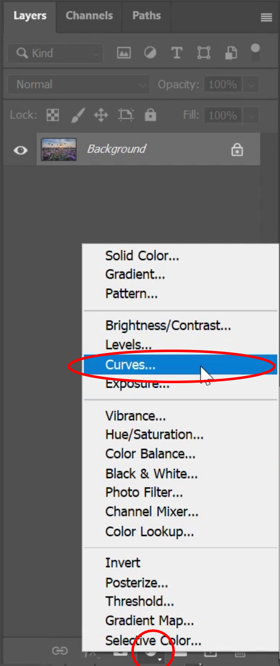 Understand Curves in Photoshop — The School of Photography - Courses ...