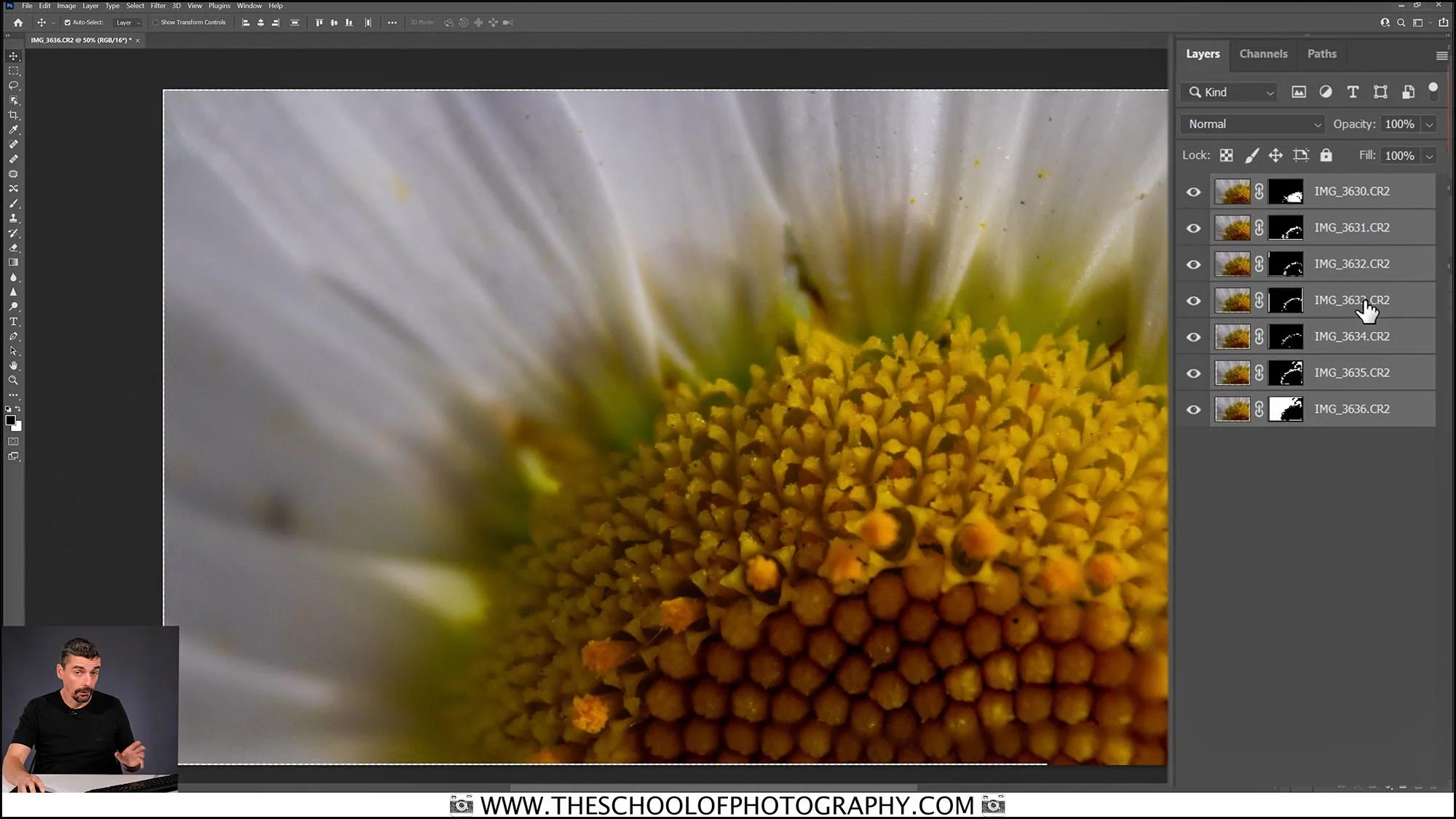 Macro Photography Course — The School of Photography - Courses ...