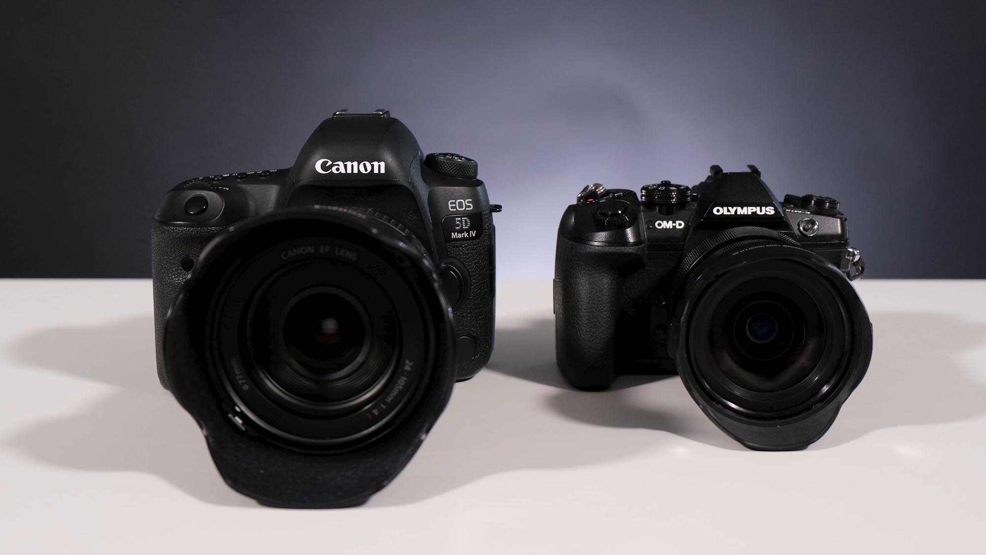 Best Beginner Camera 2024 - What You Need To Know — The School of ...