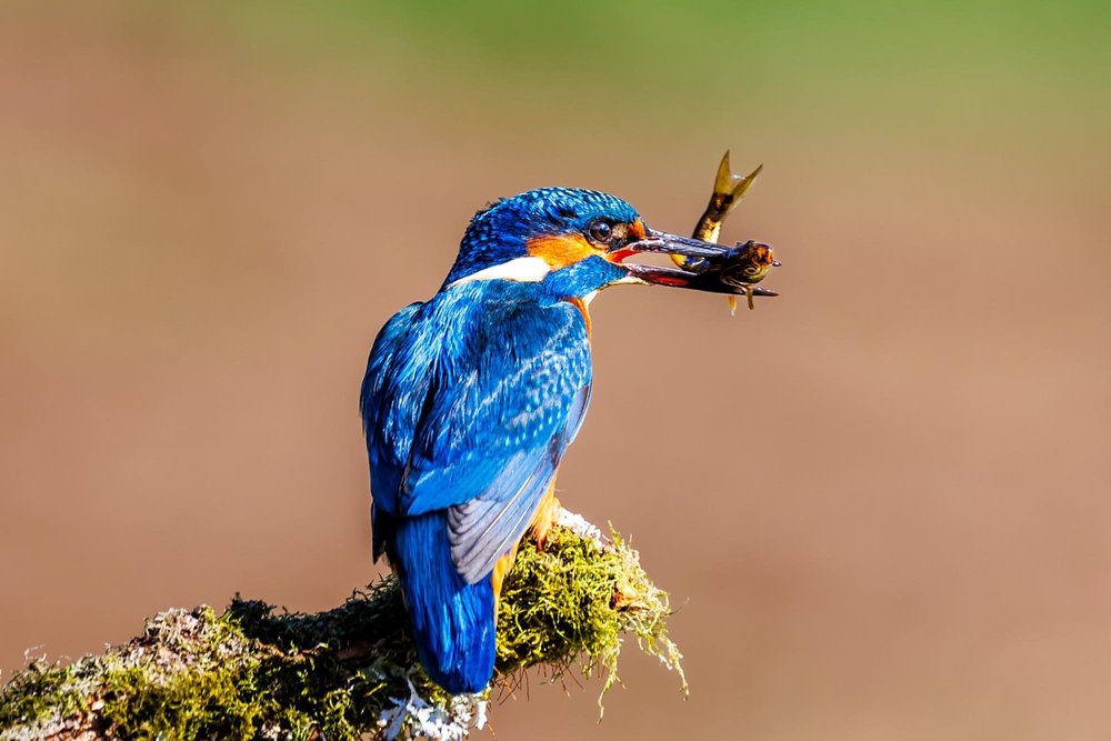 Member Profile: Paul Rathbone — The School of Photography - Courses ...