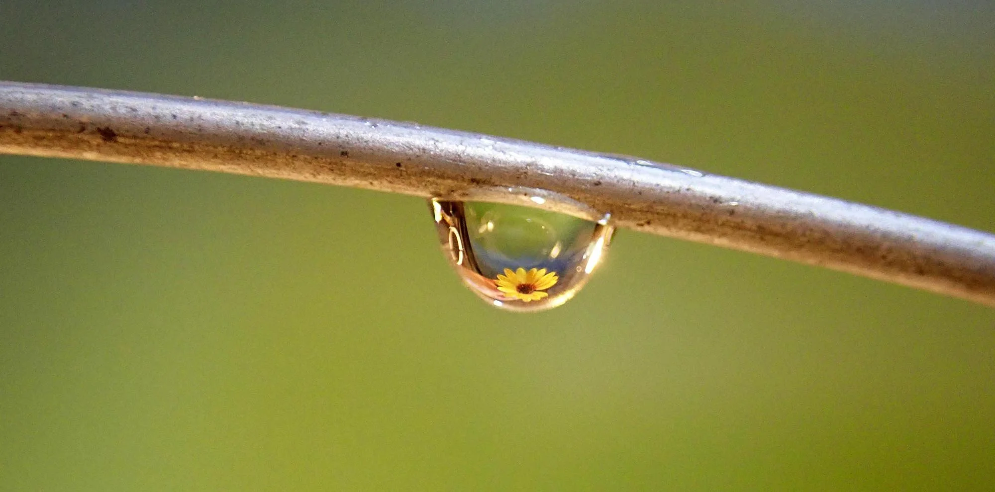 Macro Photography Ideas - Top 20 from easy to hard — The School of ...