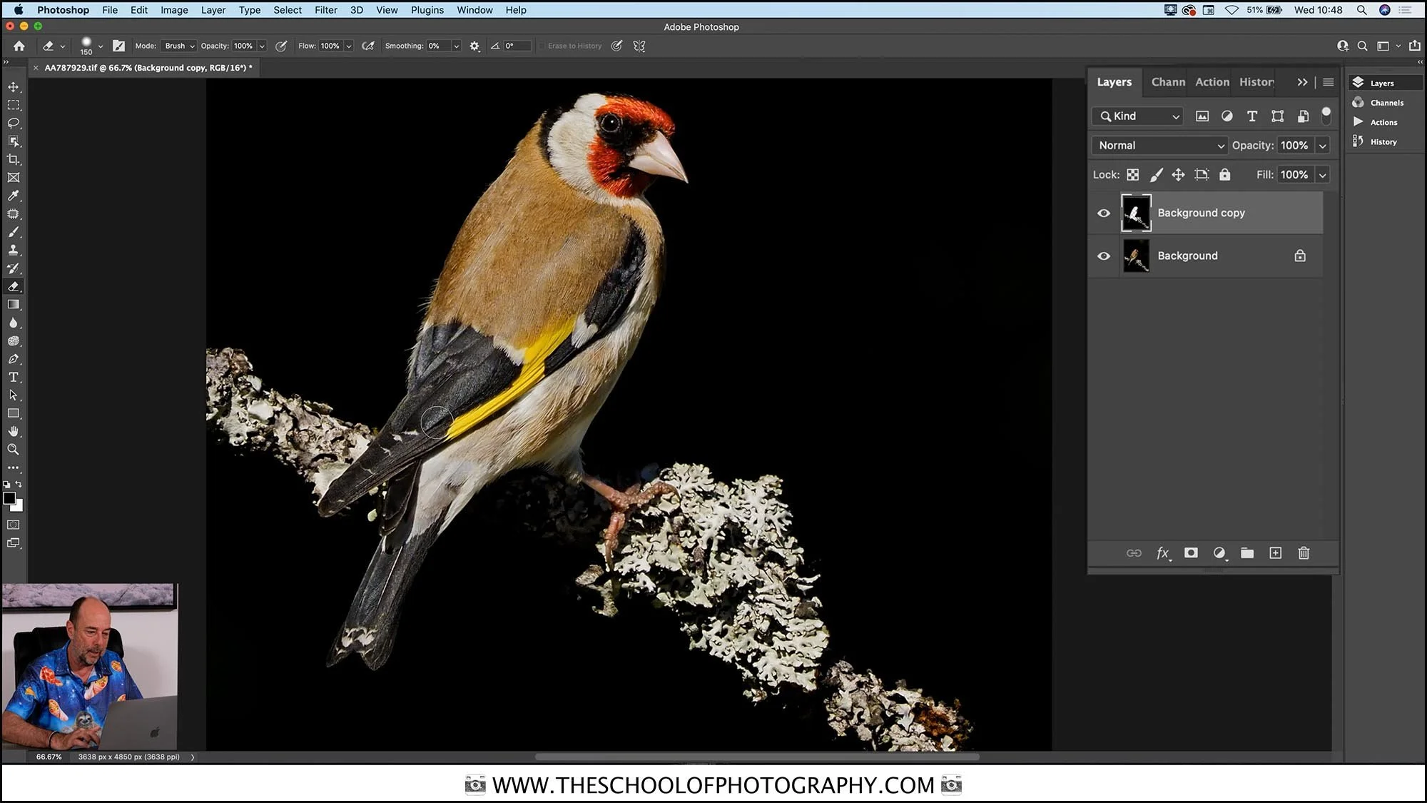 Wildlife Photography Course — The School of Photography - Courses ...