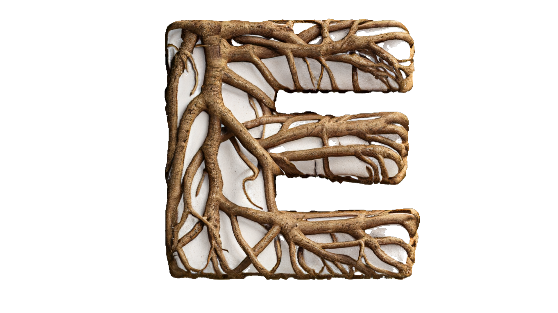 Photography Terminology You Should Know — The School of Photography ...