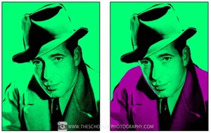 Pop Art Photoshop Tutorial — The School of Photography - Courses ...
