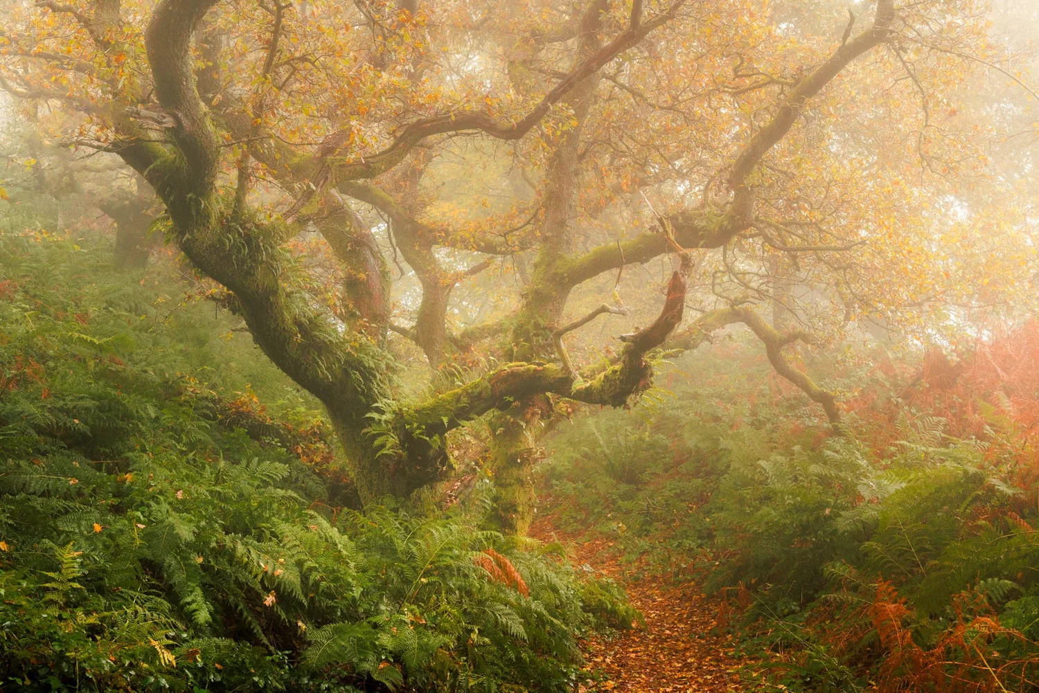 10 Best Autumn Photography Ideas: Capture the Beauty of Fall — The ...