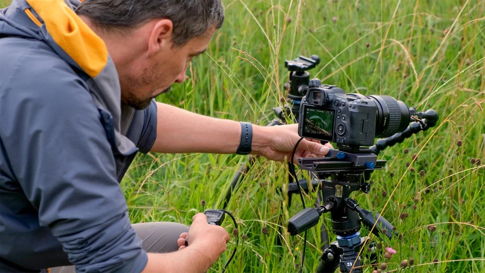 Macro Photography Course — The School of Photography - Courses ...