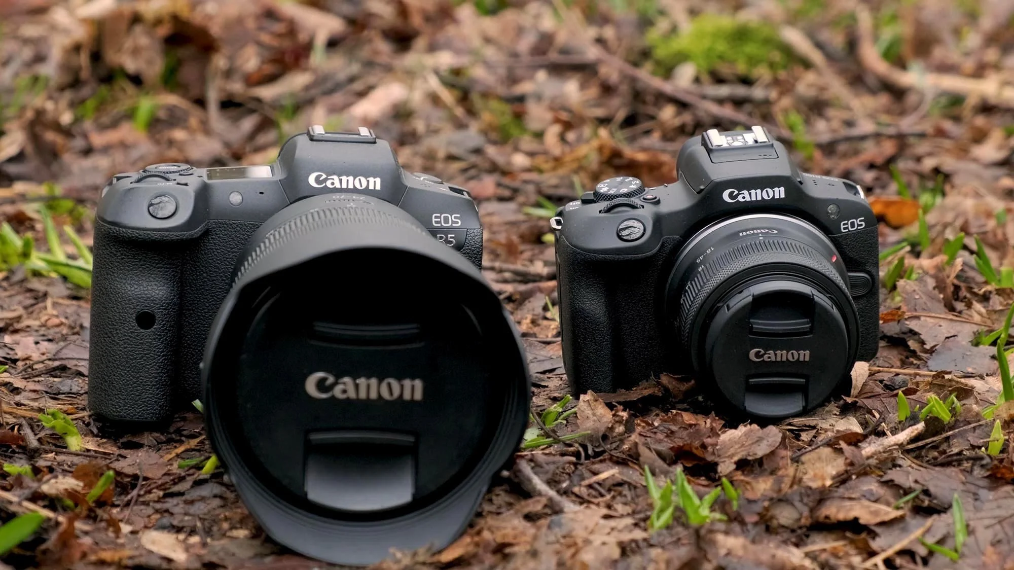 Canon R5 VS R100 – Does 10x price mean 10x the quality? — The School of ...