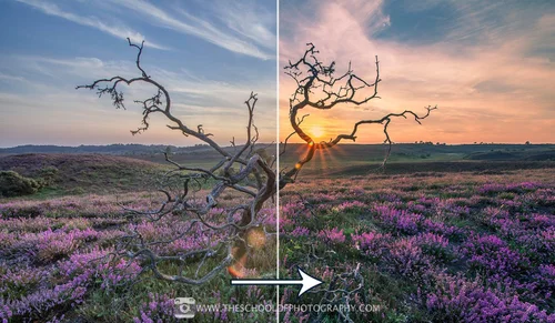 Understand Curves in Photoshop — The School of Photography - Courses ...