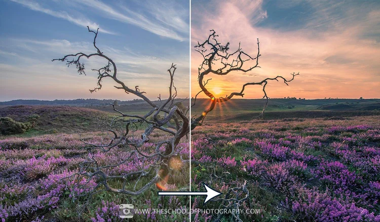 Understand Curves in Photoshop — The School of Photography - Courses ...