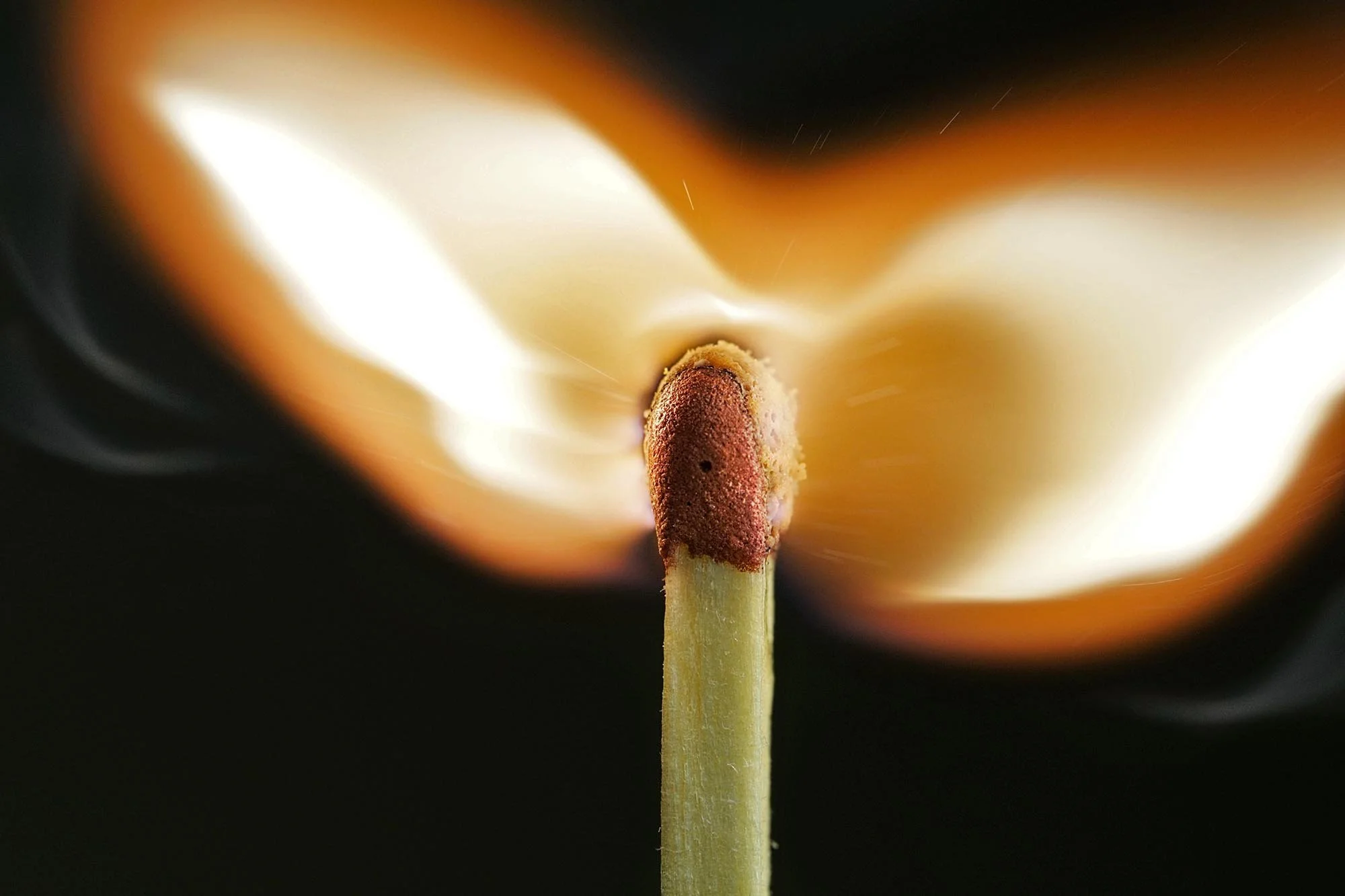 Macro Photography Ideas - Top 20 from easy to hard — The School of ...