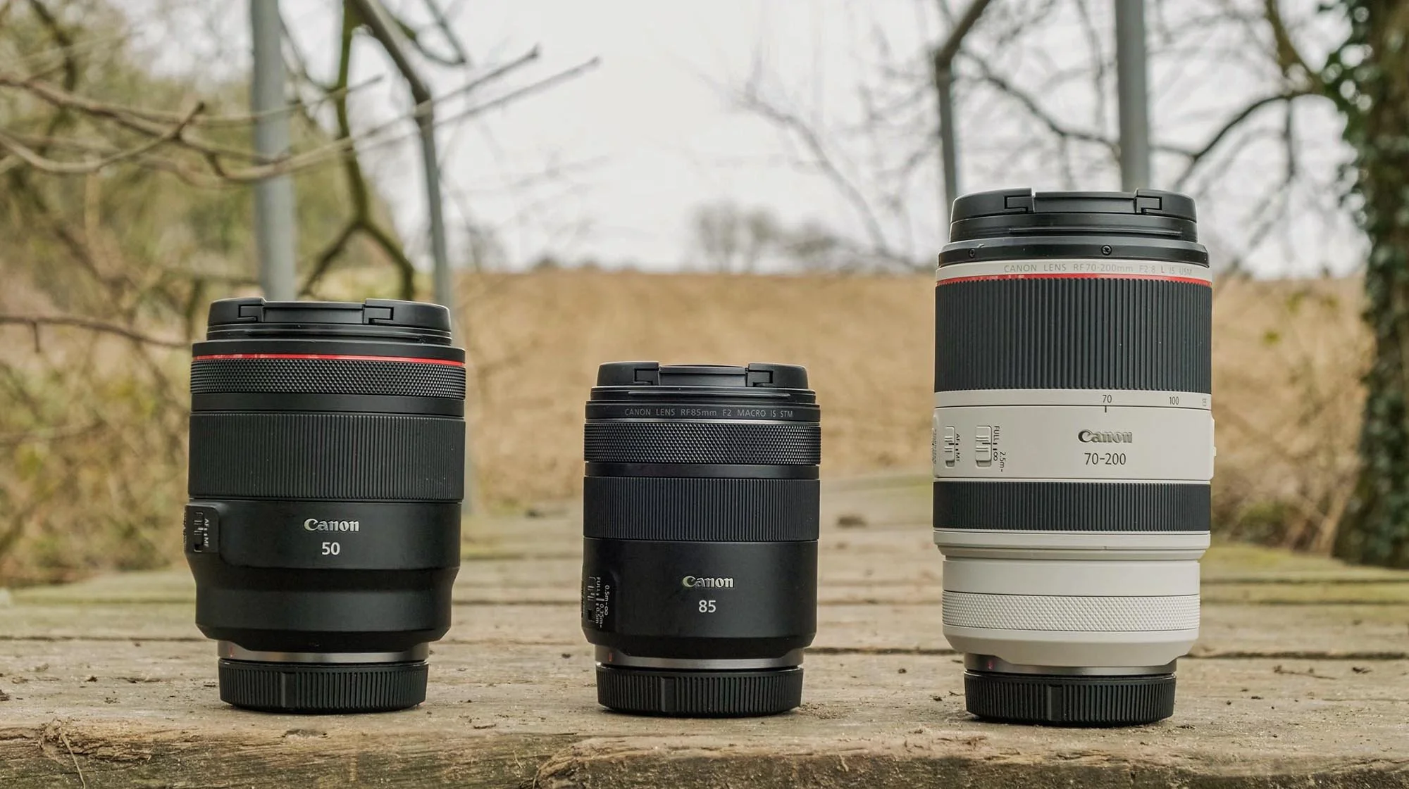 Best Canon Portrait Lens – Tested and reviewed! — The School of ...