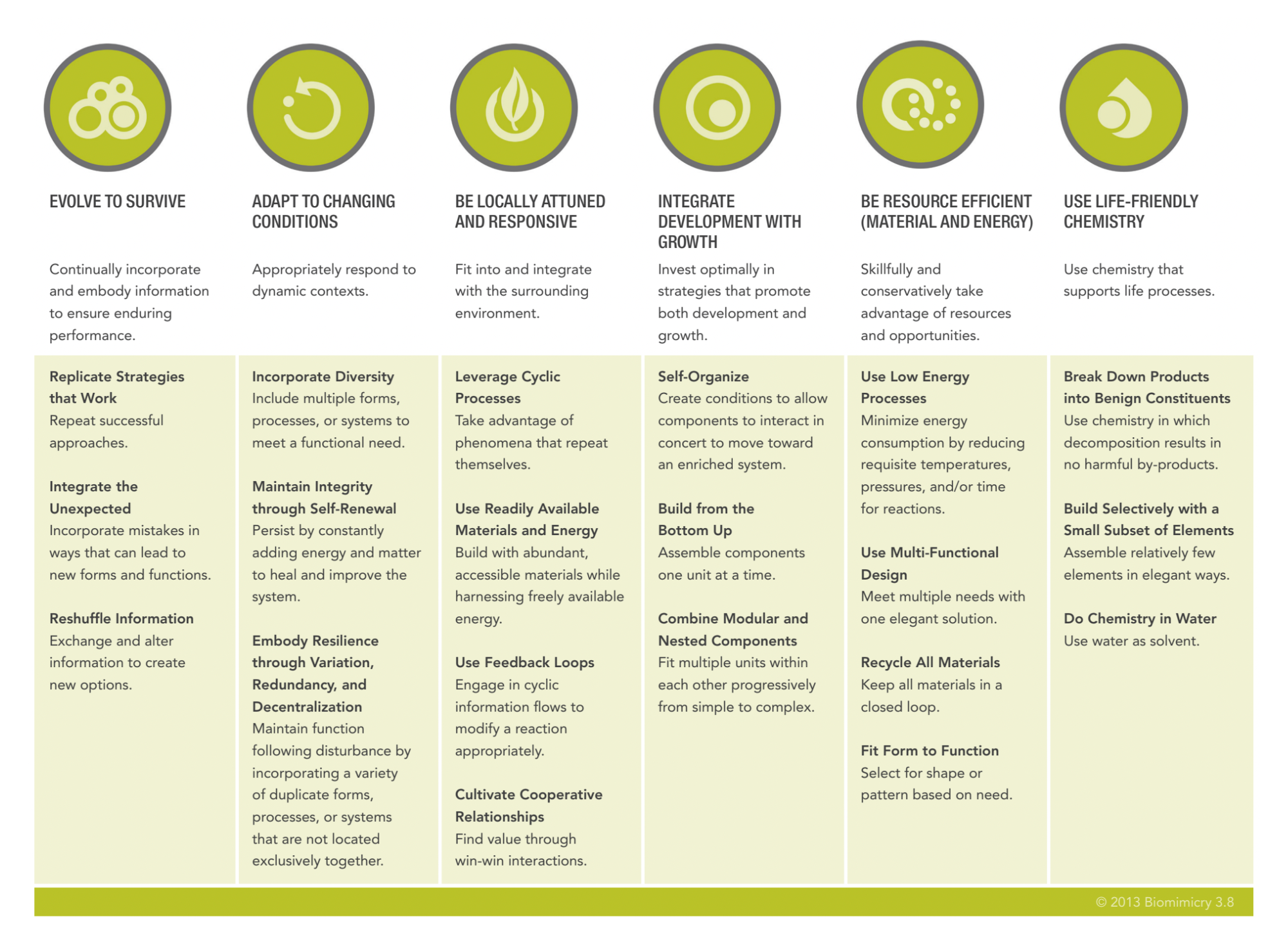 Life's Principles in Biomimicry and Design — Lara Cornell