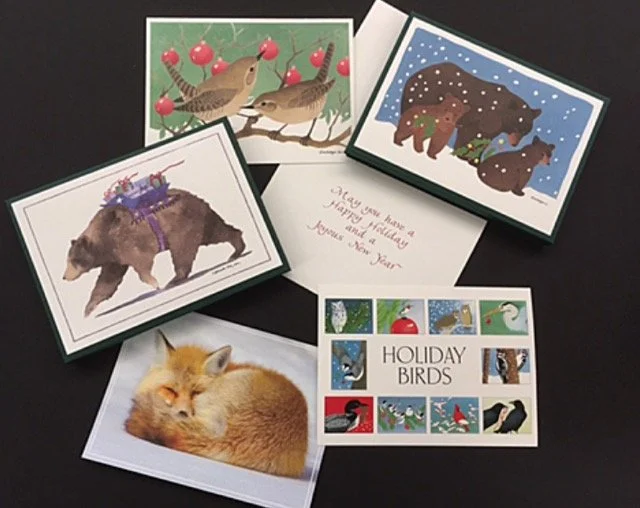 Paper — Friis & Co.