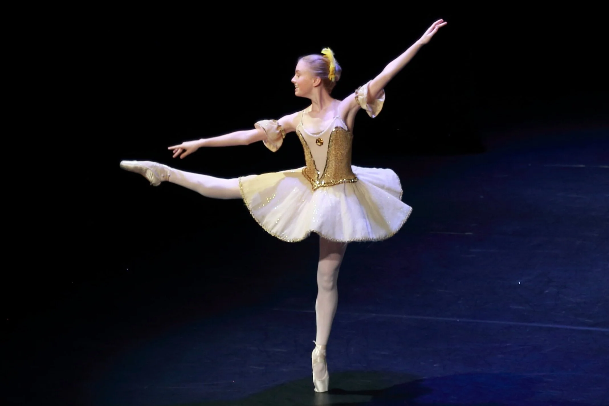 Misako Ballet Studio-Private Ballet Lessons