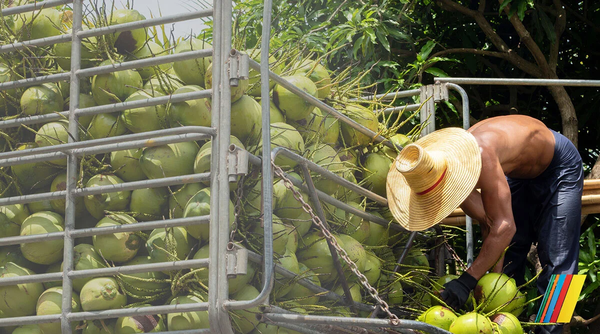 IRIE Coconut Product Manufacturing | MCT Oil Supplier