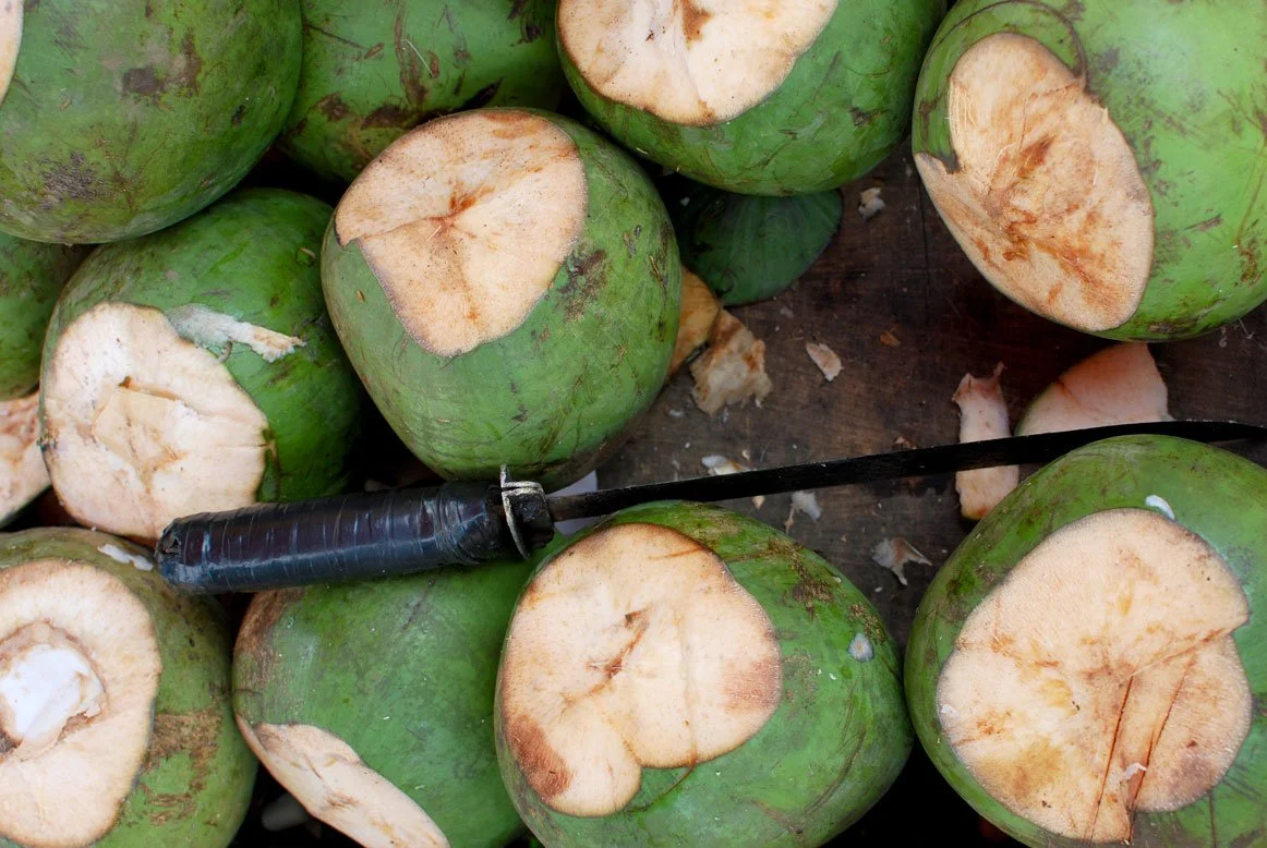 IRIE Coconut Product Manufacturing | MCT Oil Supplier