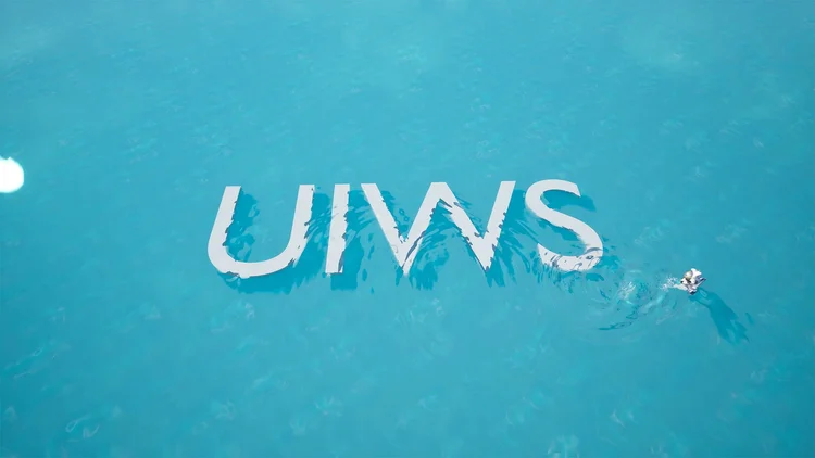 Uiws Overview Elliot Gray