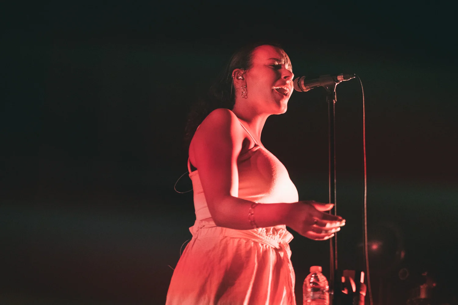 Jungle • North American Tour • Photo Gallery — The Beautiful Sounds