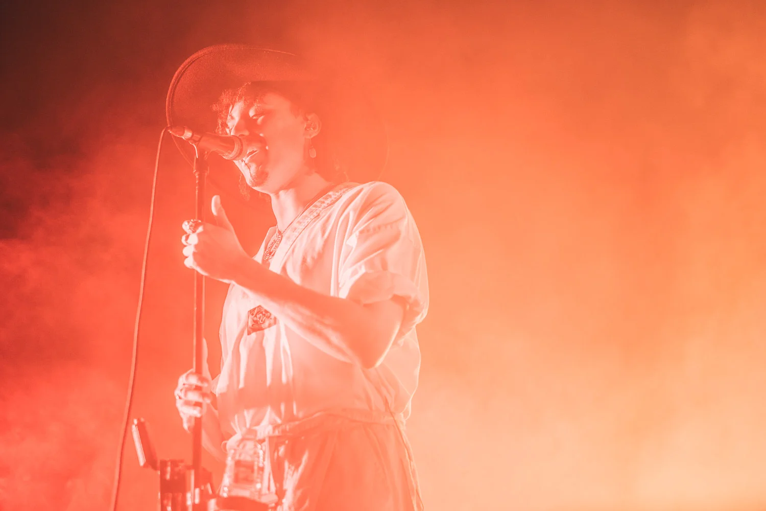 Jungle • North American Tour • Photo Gallery — The Beautiful Sounds