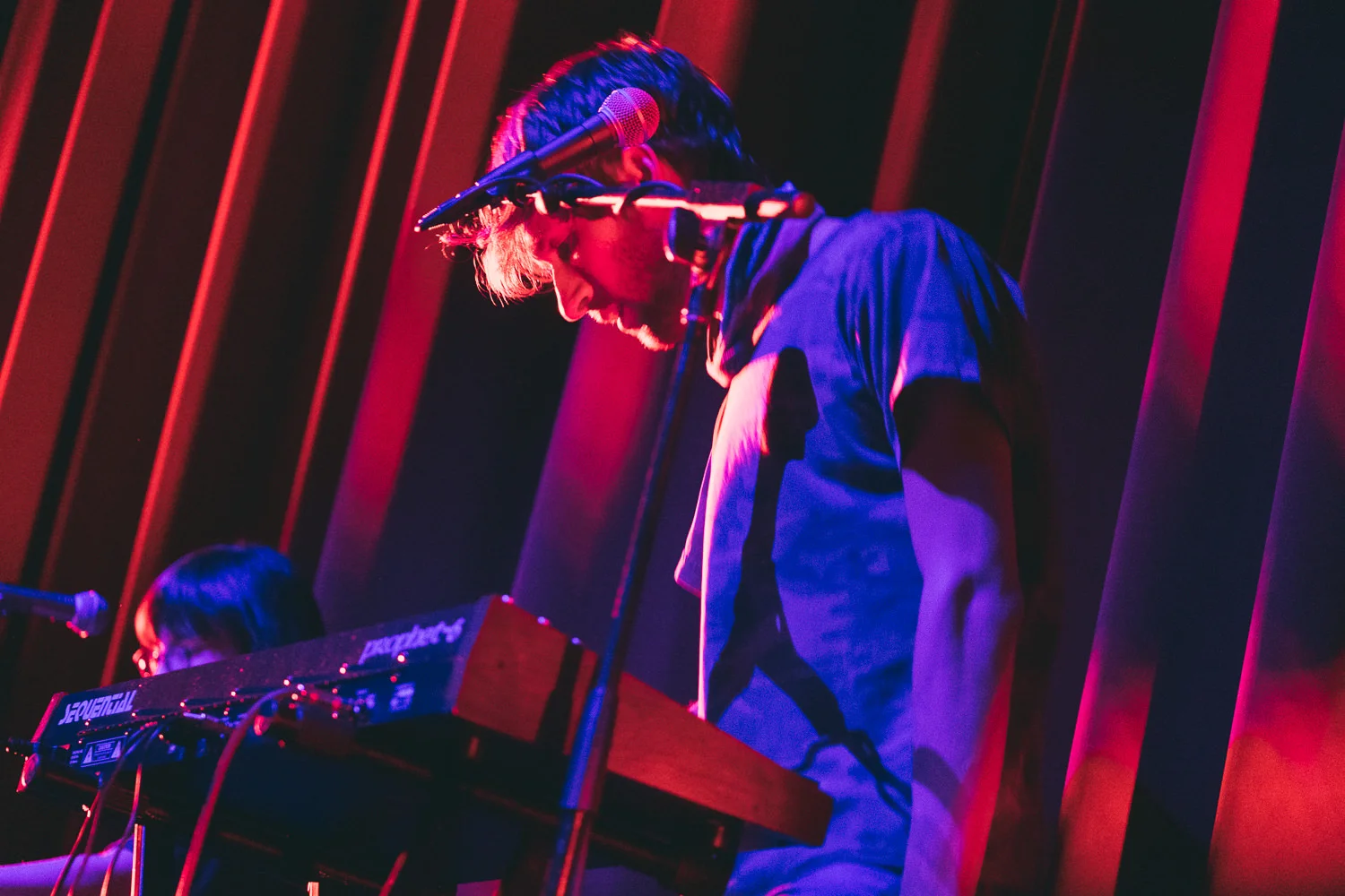 Jungle • North American Tour • Photo Gallery — The Beautiful Sounds