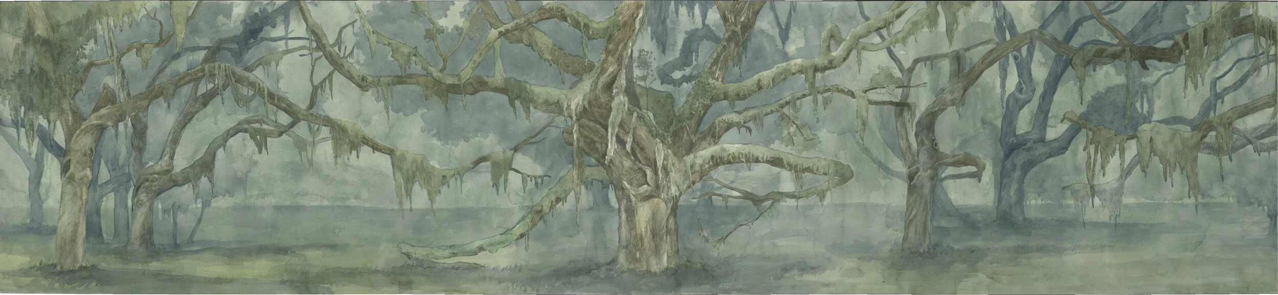 Spanish Moss Forest Mural Wallpaper — Erin Connally