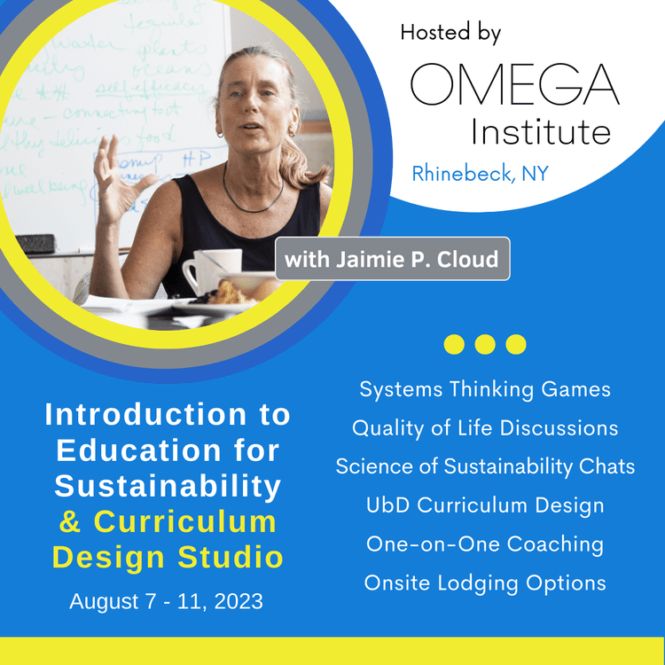 Blog — The Cloud Institute for Sustainability Education